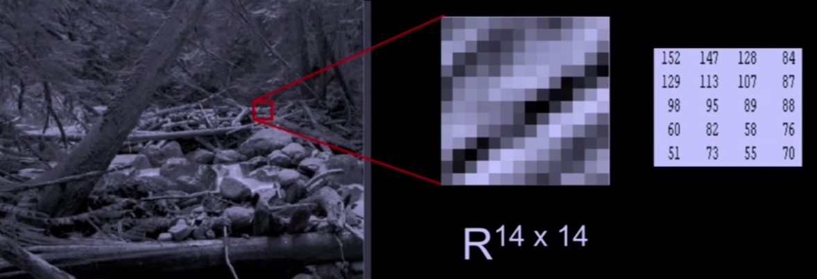 Motorblog » Rise of the Machines: Es beginnt selbst zu lernen